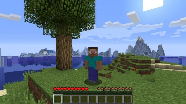 Minecraft Server on Raspberry Pi: The Only Guide You Need – RaspberryTips