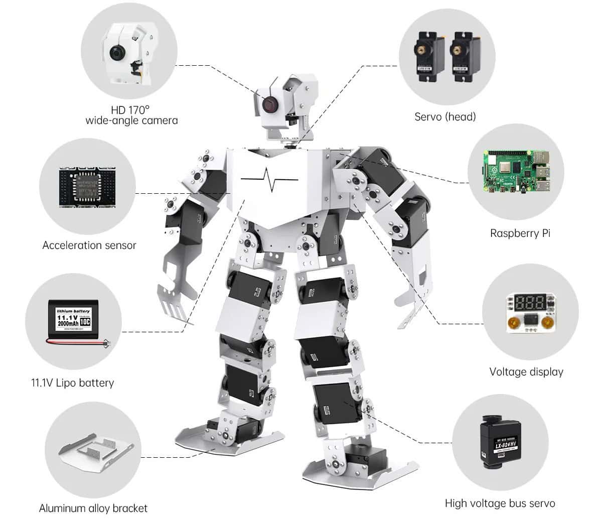 The 10 Best Raspberry Pi Robot Kits for Beginners in 2025 – RaspberryTips