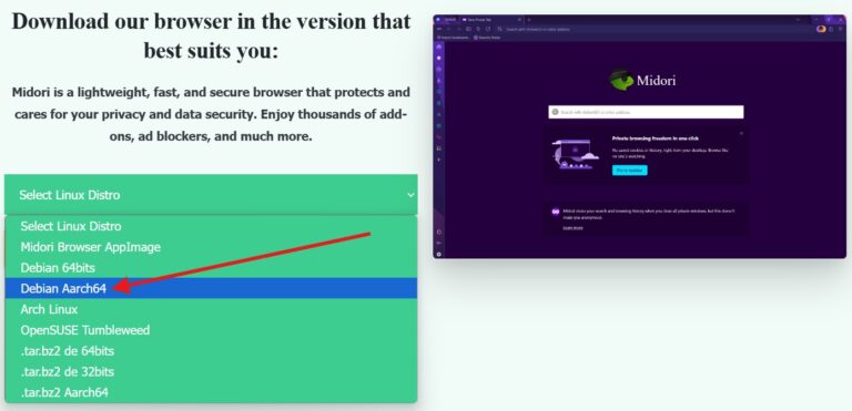 5 Best Web Browsers to Use on Raspberry Pi (I Tested Them) – RaspberryTips