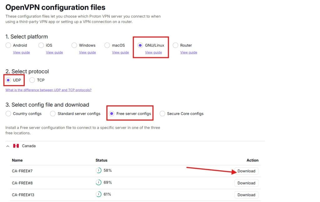 How To Install & Use ProtonVPN On Raspberry Pi (GUI & CLI) – RaspberryTips