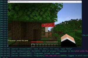 Hosting A Minecraft Server On Debian: The Ultimate Guide – RaspberryTips