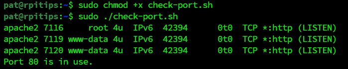 5 Effective Ways to Check Open Ports on Linux (Ubuntu) – RaspberryTips
