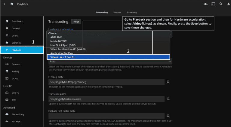 How to Install Jellyfin on the Raspberry Pi – RaspberryTips