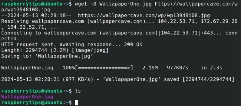 How to Download Files on Linux Using Terminal – RaspberryTips