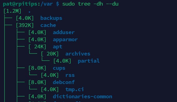 How to Free Disk Space on Raspberry Pi OS? (Desktop or Lite) – RaspberryTips