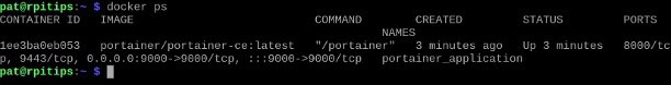 Install Portainer On Raspberry Pi For Easy Docker Control Raspberrytips
